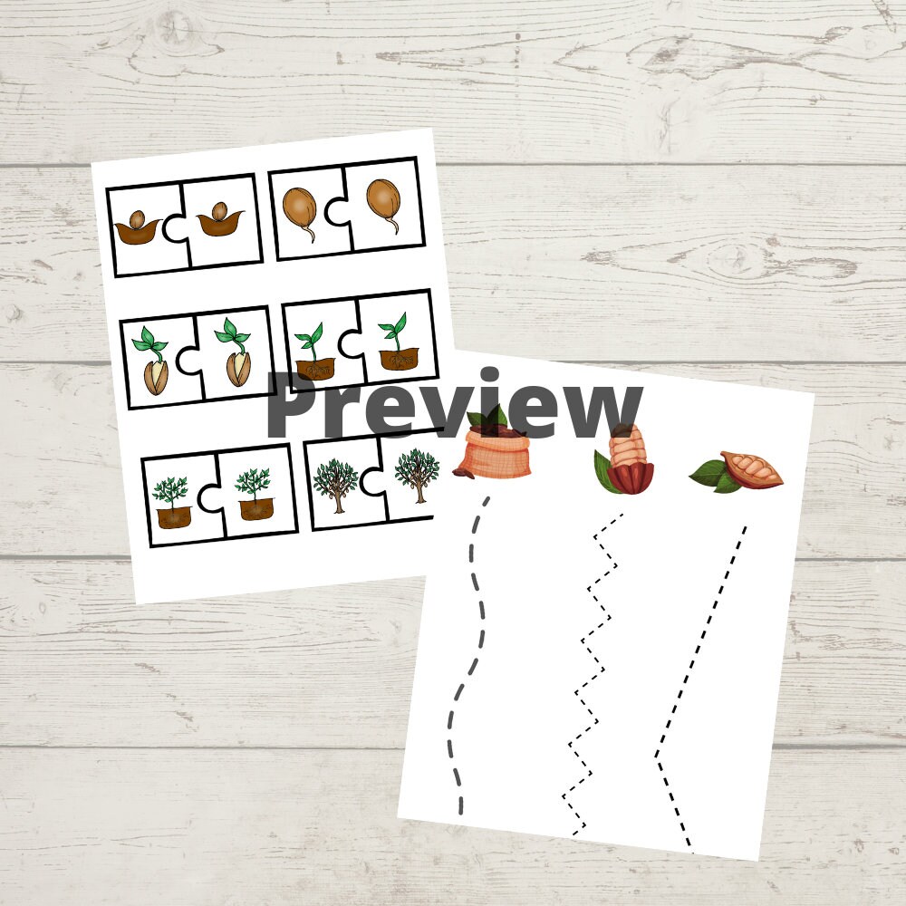Cocoa Life Cycle & Anatomy Mini Unit Study (digital Download) - Etsy