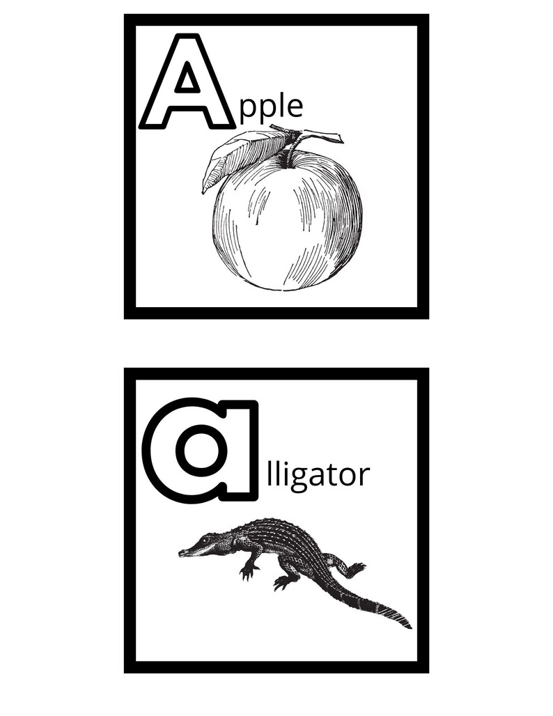 Letter A Unit Study Letter A Mini Unit Alphabet Mini Unit - Etsy