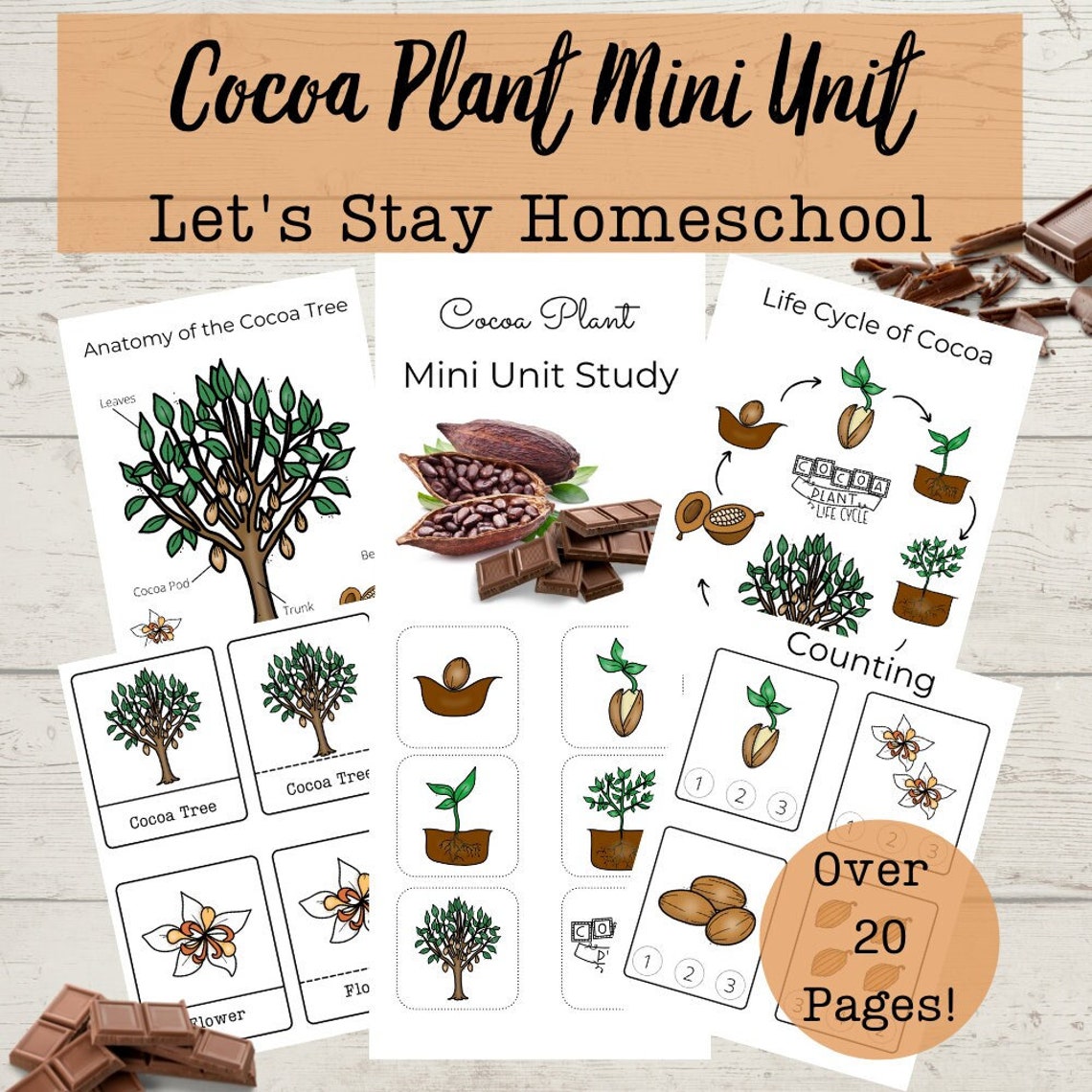 Cocoa Life Cycle and Anatomy Cocoa Mini Unit Study - Etsy