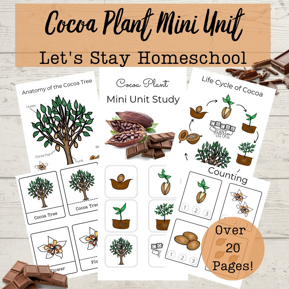 Cocoa Life Cycle and Anatomy Cocoa Mini Unit Study - Etsy