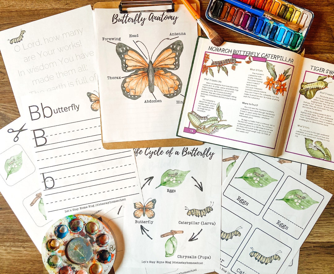 Butterfly Life Cycle Mini Unit: Homeschool Study (digital Download) - Etsy