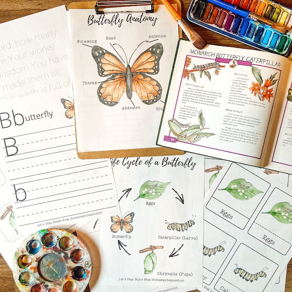 Butterfly Life Cycle - Etsy