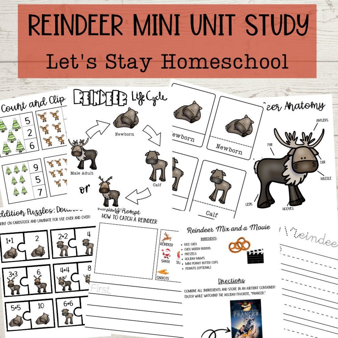 Reindeer Mini Unit | Christmas Mini Unit | Reindeer Study | Reindeer ...