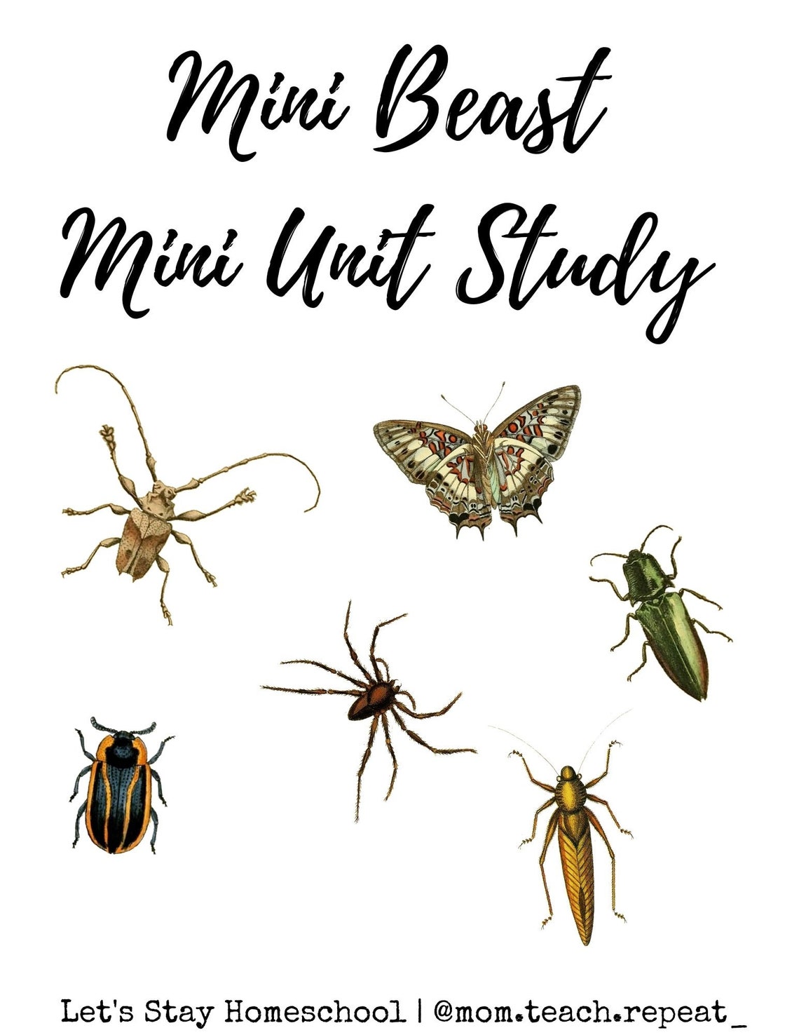 Minibeast Mini Unit Study Minibeast Unit Study Minibeast - Etsy