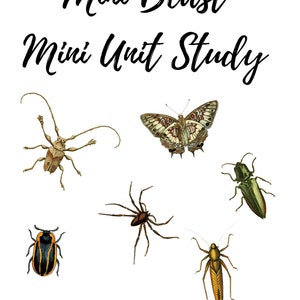 Minibeast Mini Unit Study| Minibeast Unit Study | Minibeast Homeschool ...