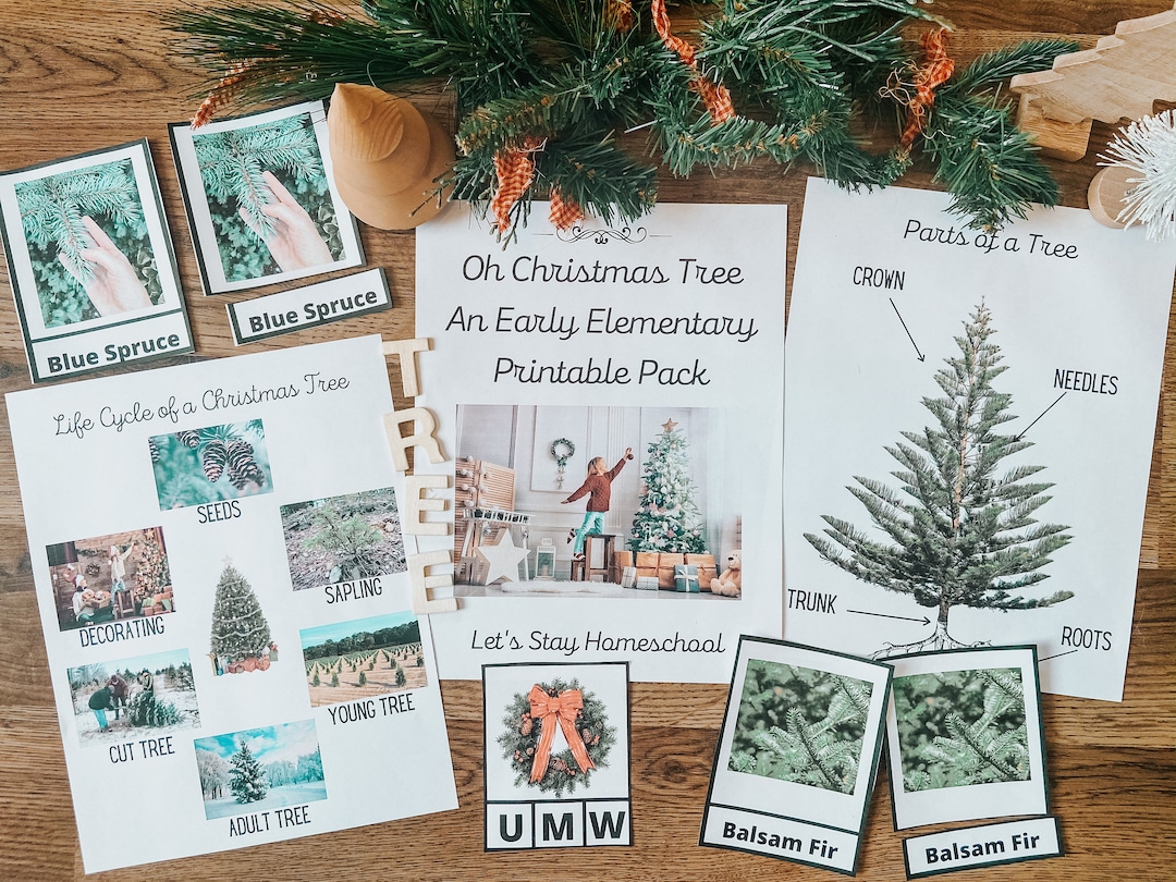 Christmas Tree Mini Unit | Christmas Tree Unit Study | Christmas Unit ...