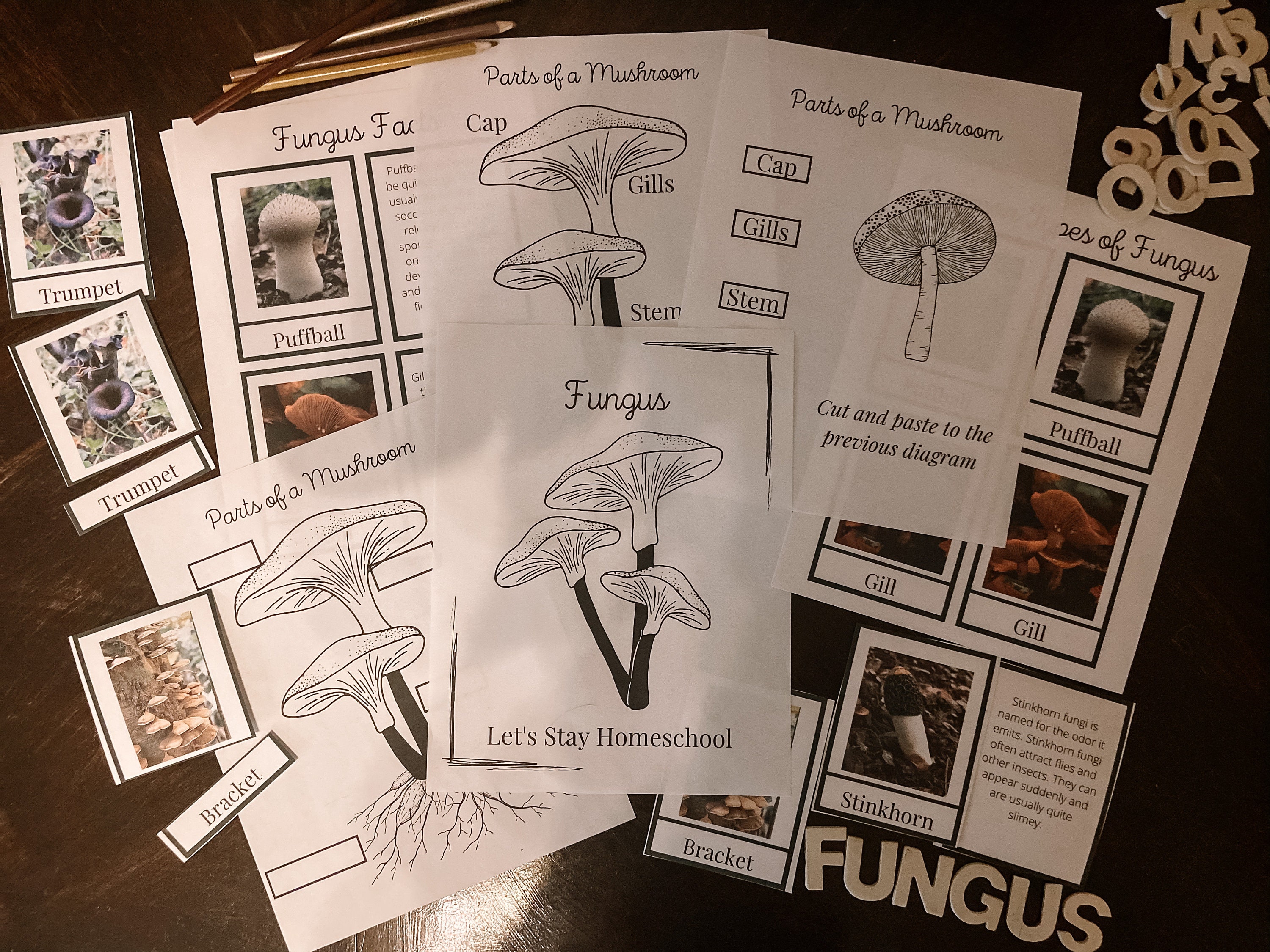Fungus Mini Unit Fungus Unit Study Fungi Unit Study Nature Study Fungus ...