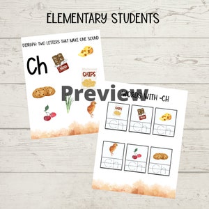 Chocolate Chip Cookie Homeschool Mini-unit Study - Etsy