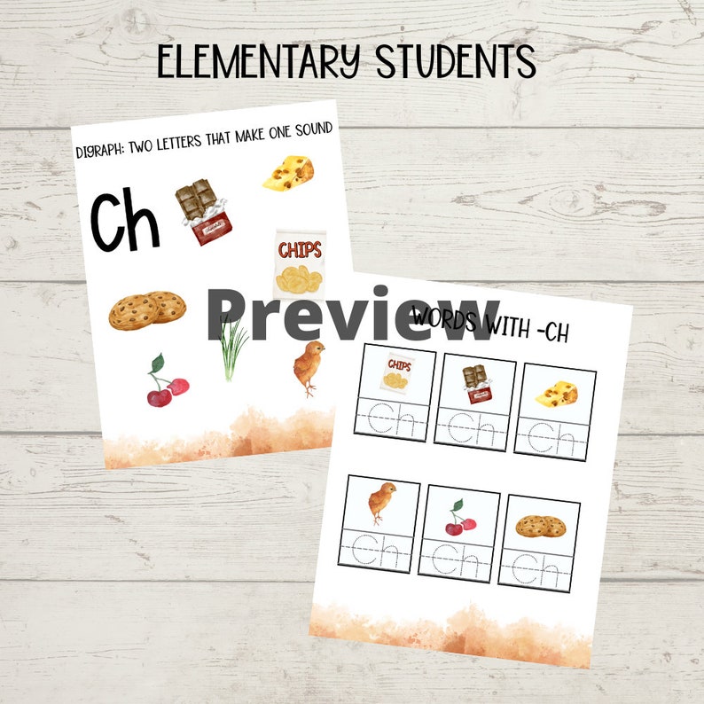 Chocolate Chip Cookie Homeschool Mini Study Chocolate Chip - Etsy