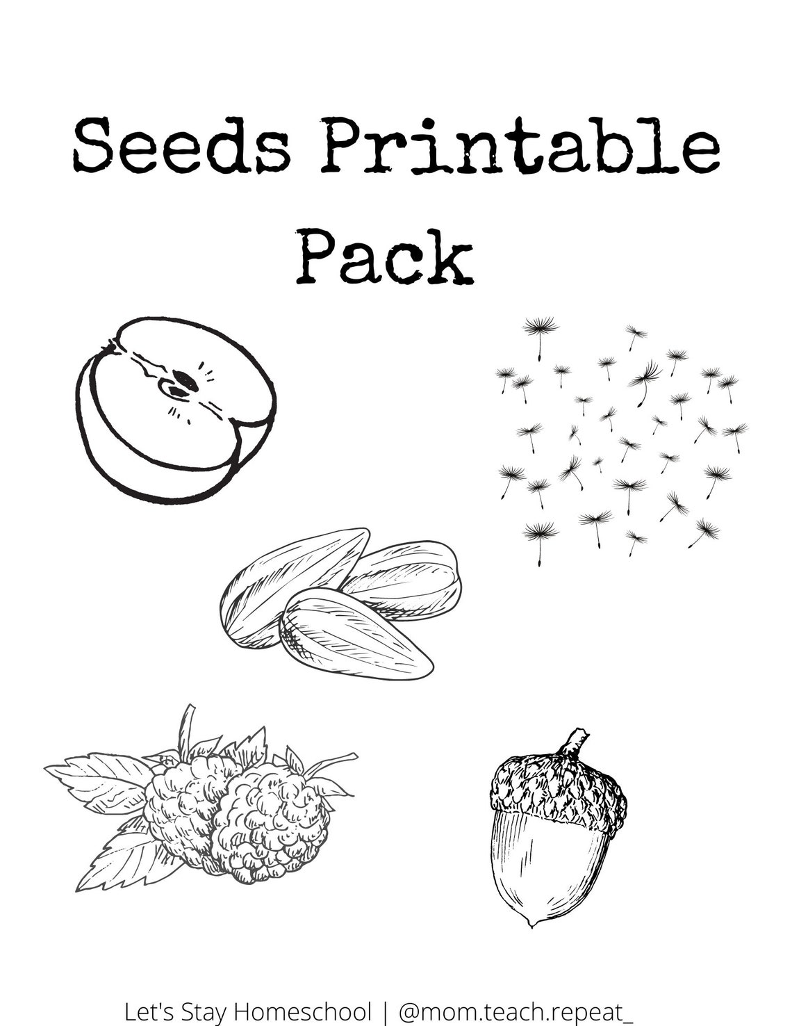 Seeds Mini Unit Seeds Unit Study Seeds Printable Pack | Etsy
