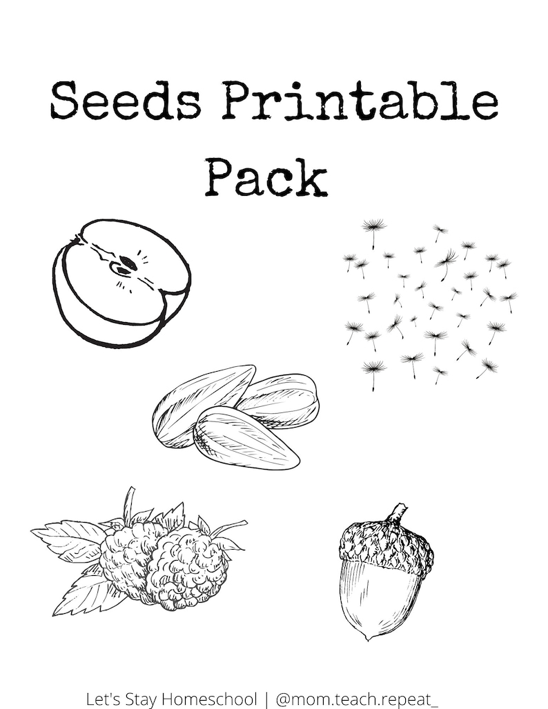 Seeds Mini Unit | Seeds Unit Study | Seeds Printable Pack - Etsy