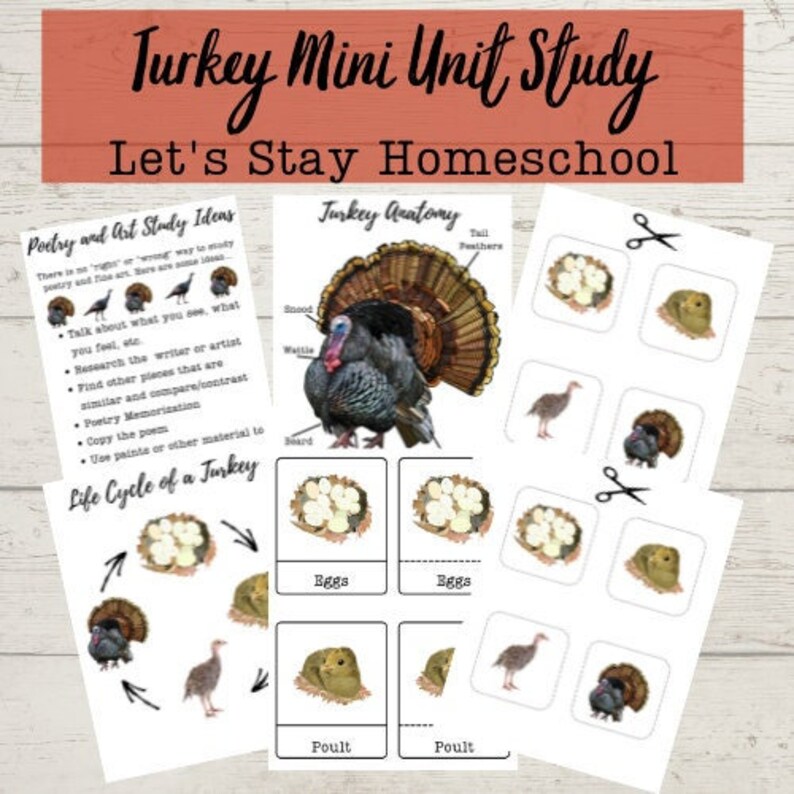 Turkey Mini Unit Study - Etsy