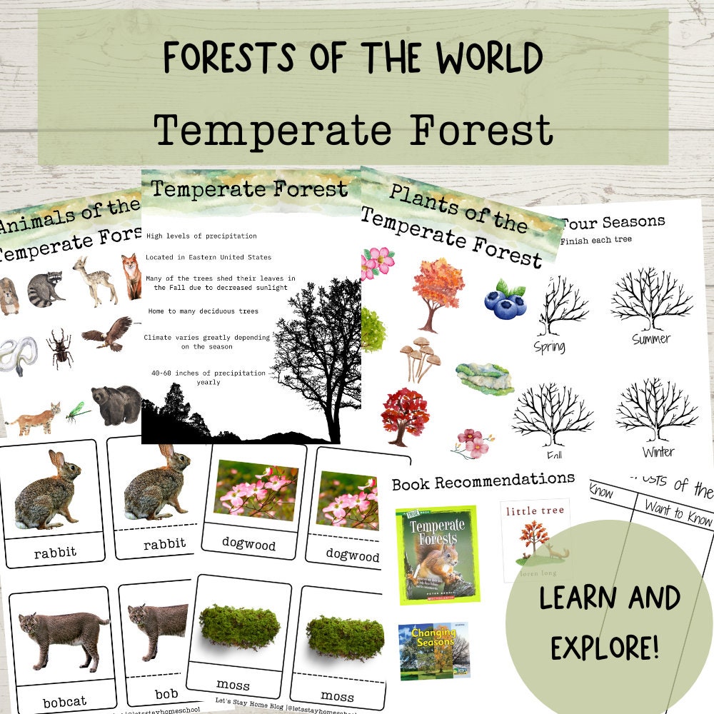 Forests of the World Unit Study Boreal Forest Study Tundra Study ...