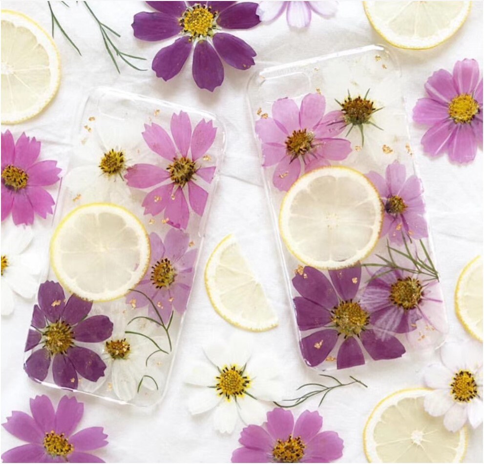 Pressed Dried Purple White Cosmos Flower for Floral Art Craft - Etsy