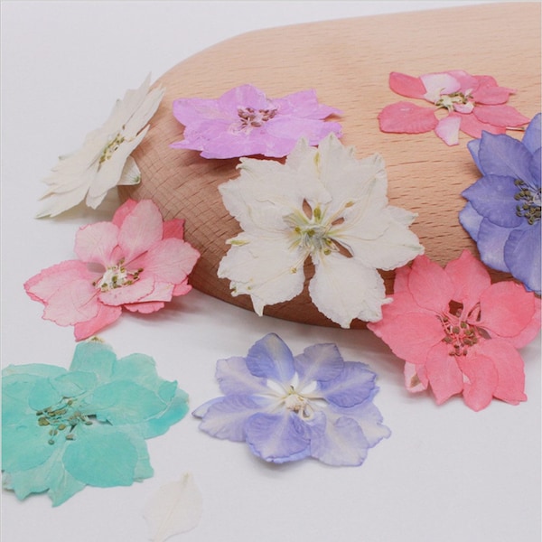 Pressed Flower Frame - Etsy