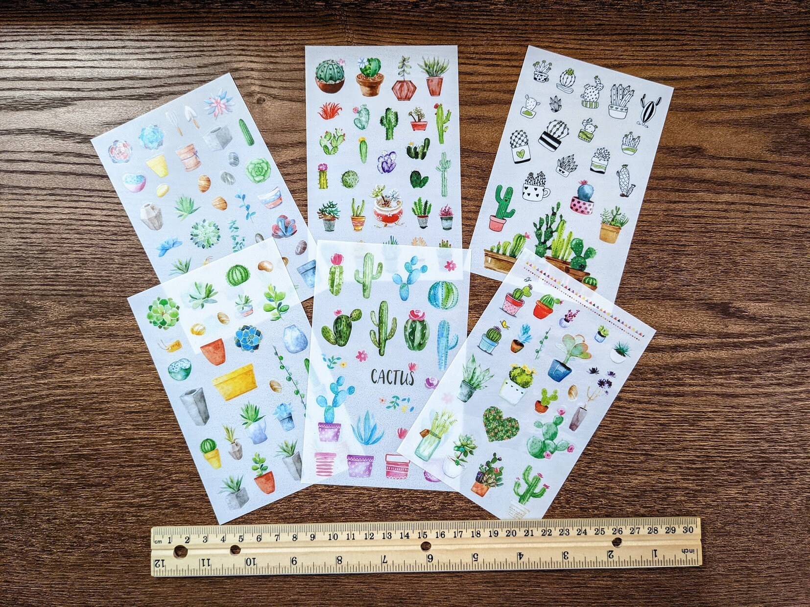 Cactus and Succulents Stickers 6 Sheet Set for Crafts - Etsy