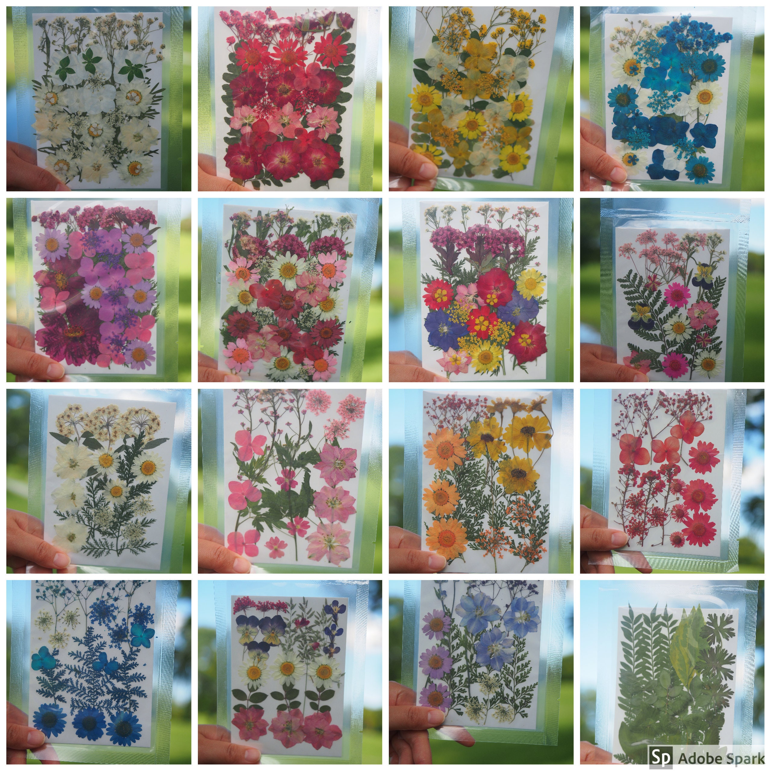Dried Pressed Flowers and Leaves for Resin Cast Floral - Etsy