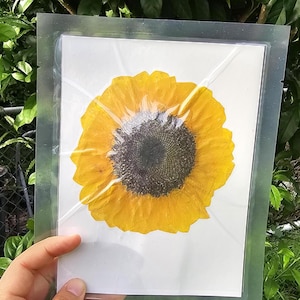 Pressed Dried Sunflower for Floral Art Craft Resin Cast - Etsy