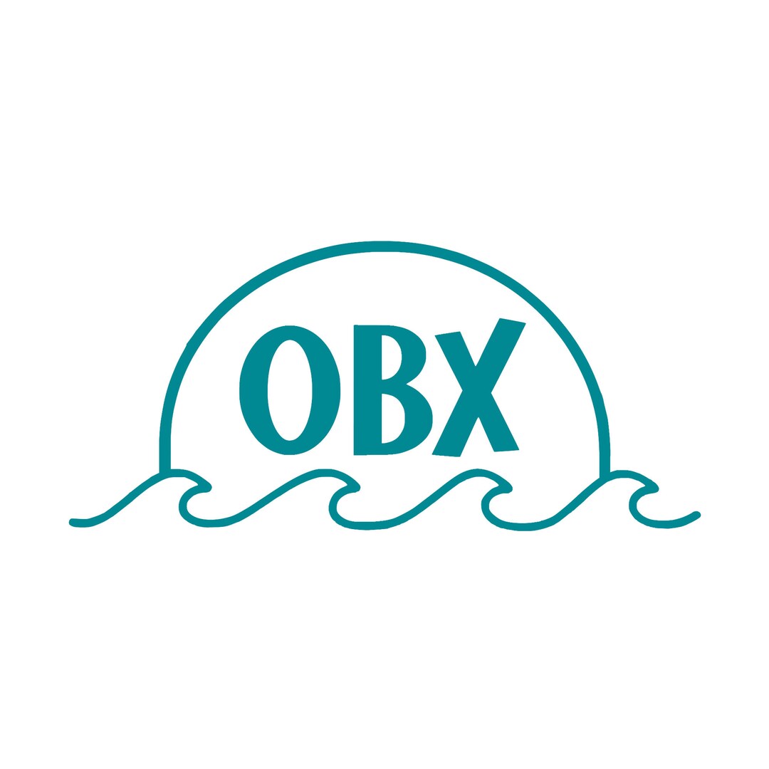 OBX Decal Outer Banks Home Travel North Carolina Beach Vibes Home Decor ...