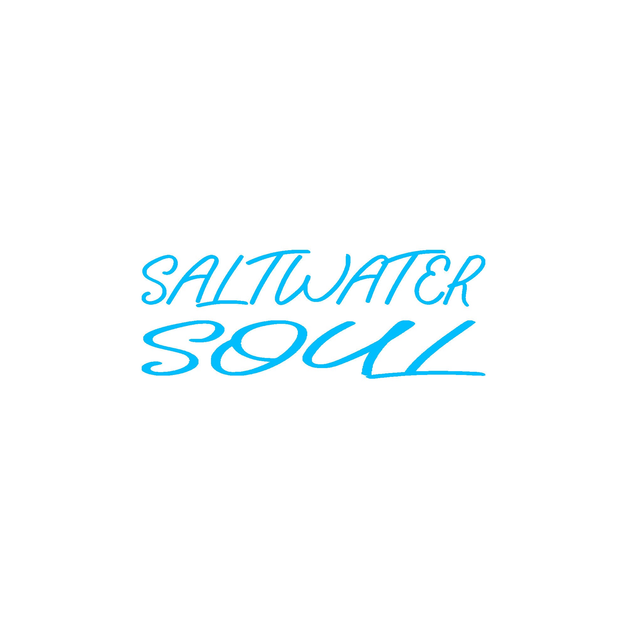 SALTWATER SOUL Decal Ocean Saltwater Soul Beach Vibes - Etsy