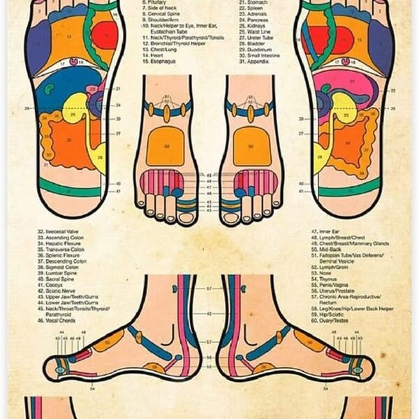 Reflexology Chart - Etsy Canada