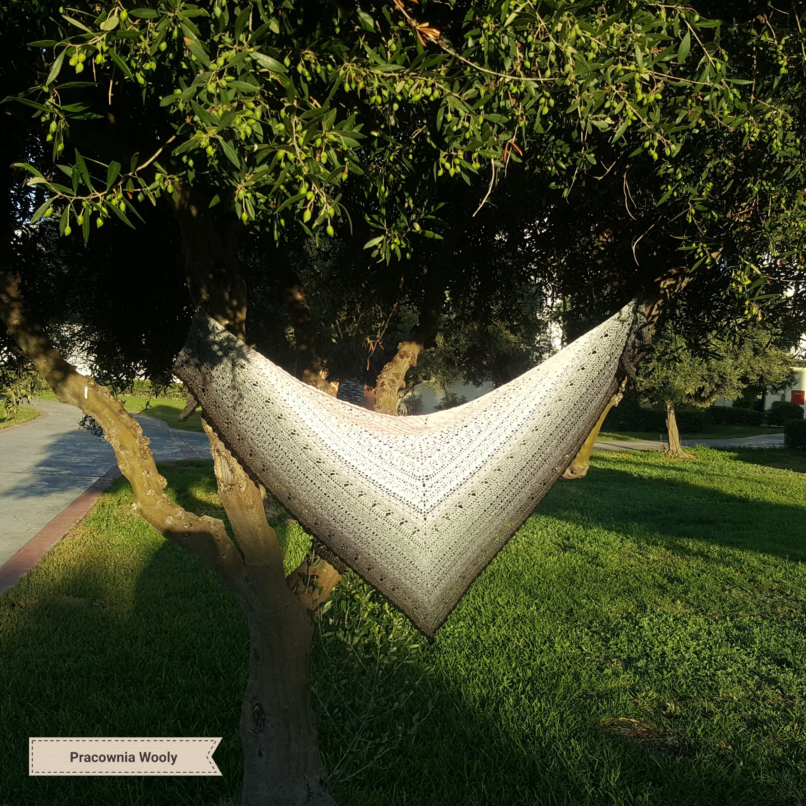 Chusta Aglaja Graficzny Schemat Szydełkowy PDF Czytelnie - Etsy