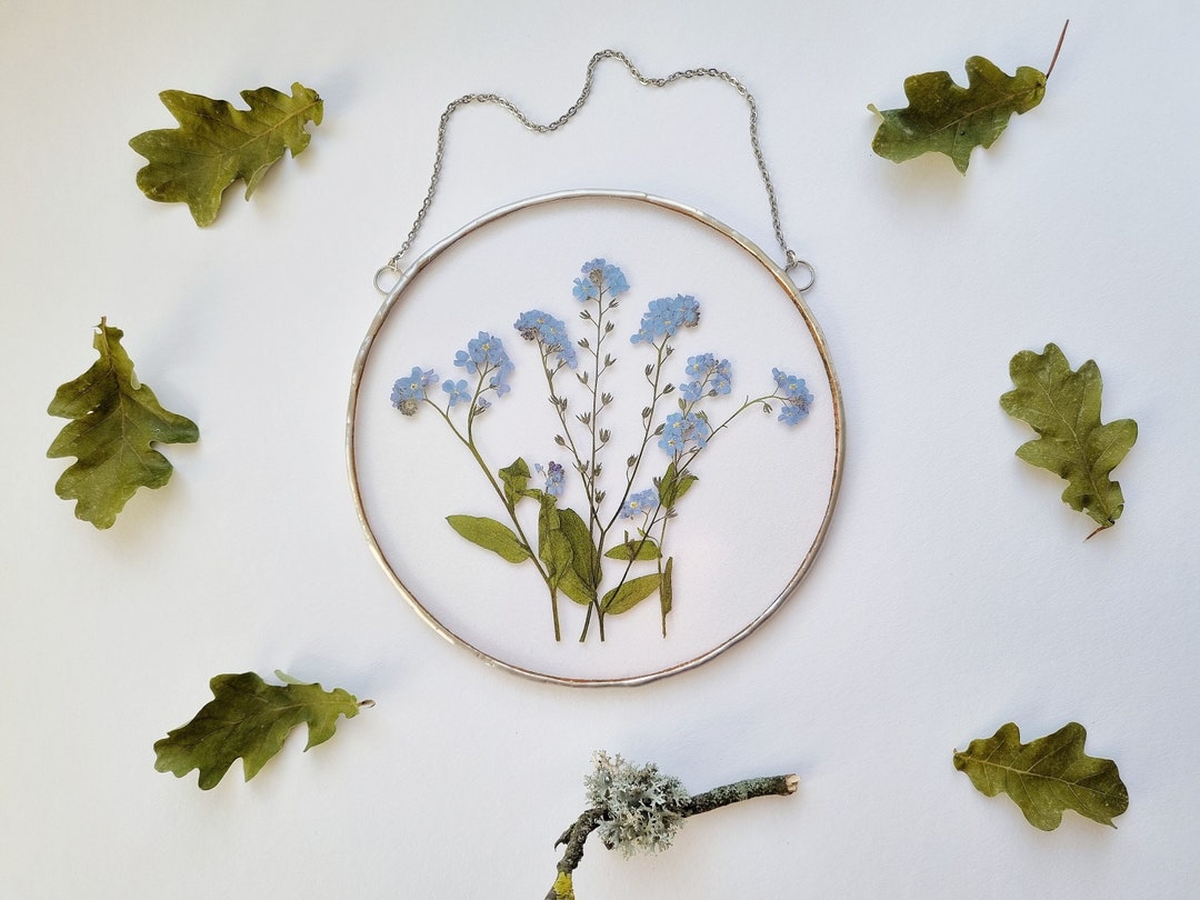 Pressed Flower Frame Forget-me-nots Wall Hanging Glass Panel Mother Dey ...