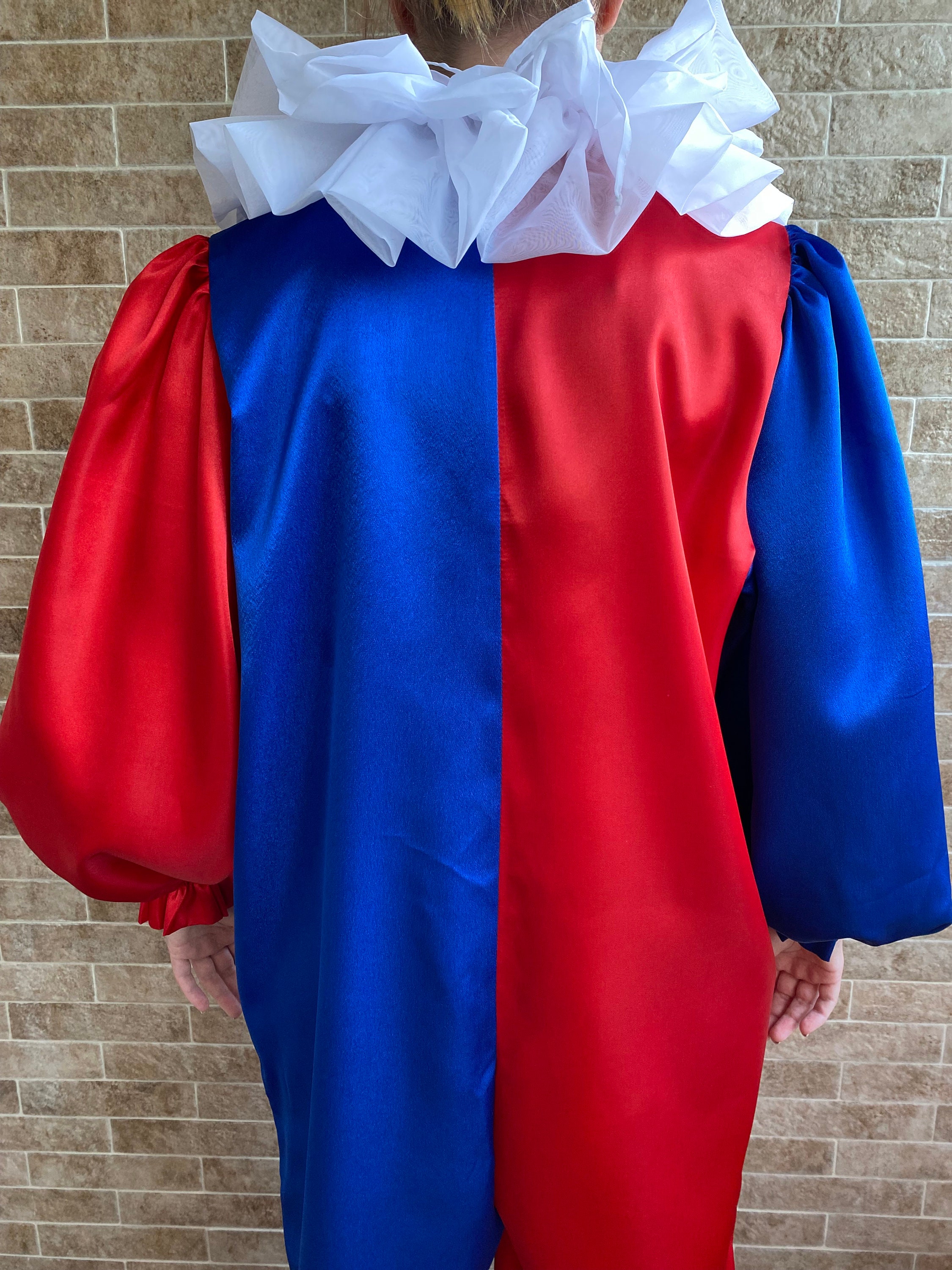 Clown Costume Red and Blue Clown Costume Clown Collar - Etsy UK
