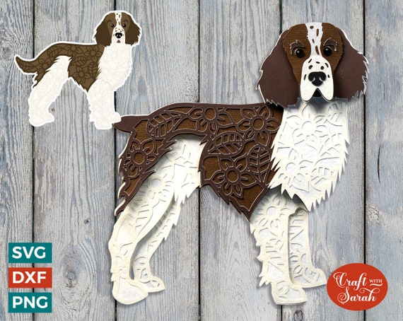 Springer Spaniel SVG Layered English Springer Spaniel Dog - Etsy