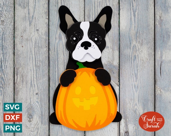 French Bulldog Pumpkin SVG Frenchie Pumpkin for Halloween - Etsy