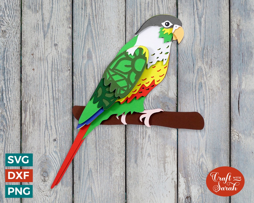 Green Cheeked Conure Bird SVG | Layered Green Cheeked Conure Bird ...