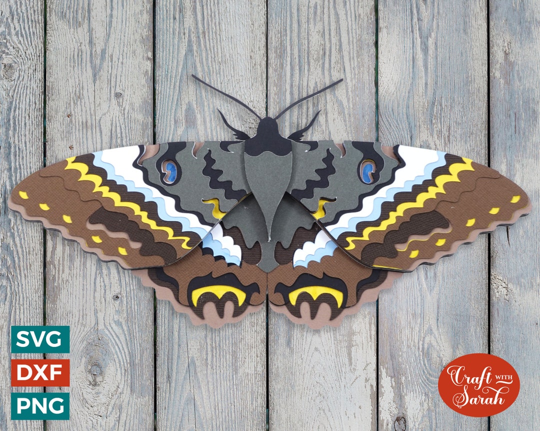 Black Witch SVG | Layered Moth Insect Cutting File - Etsy