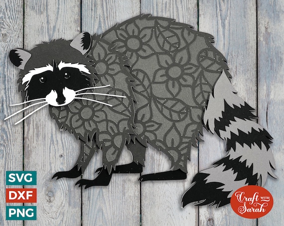 Raccoon SVG Layered Raccoon Cutting File - Etsy