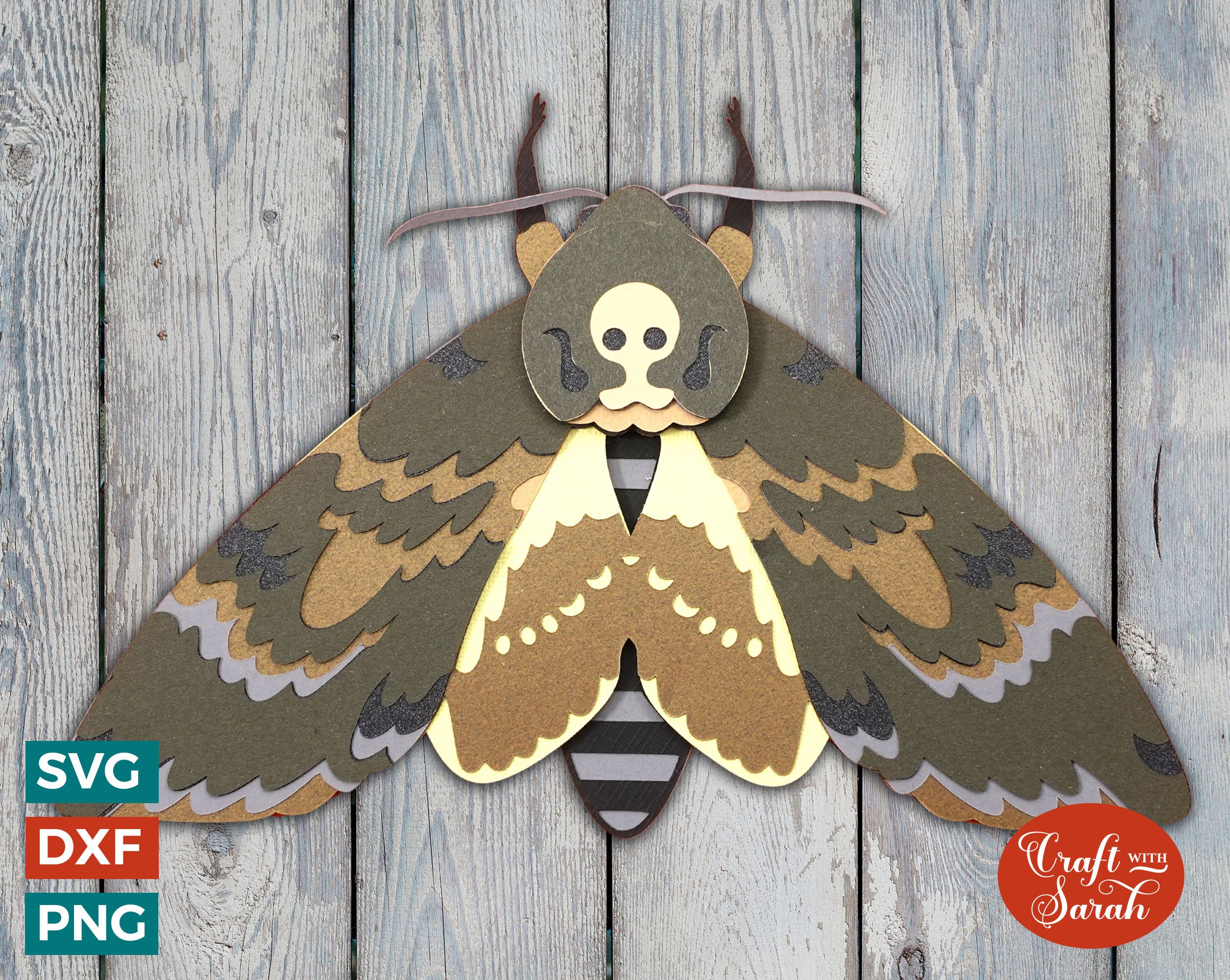 Death's Head Moth SVG Layered Insect Cutting File - Etsy