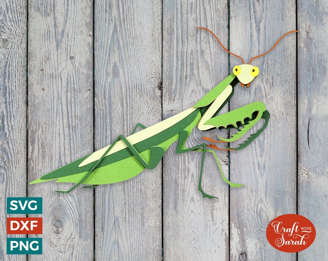 Praying Mantis SVG | Layered Insect Cutting File - Etsy