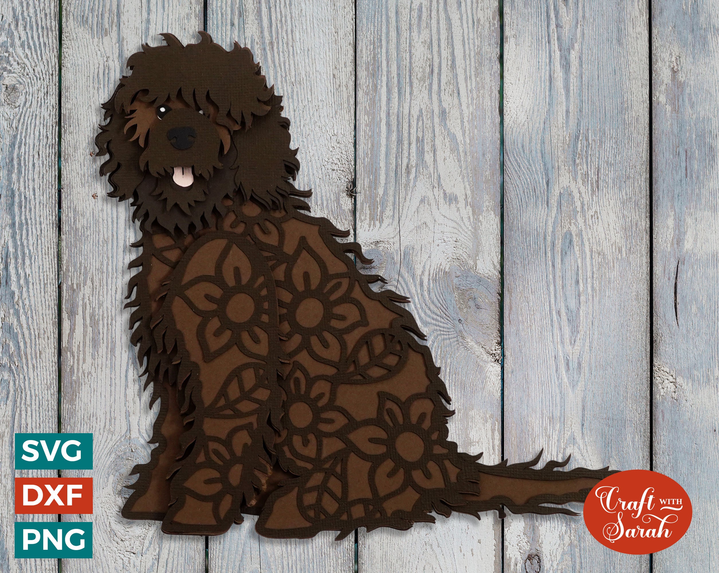 Can A Barbet Live In Canada