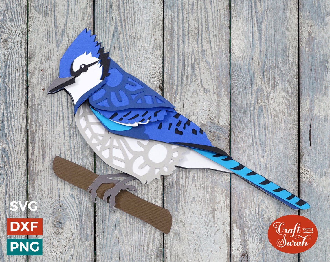 Blue Jay Bird SVG Layered Blue Jay Bird Cutting File - Etsy