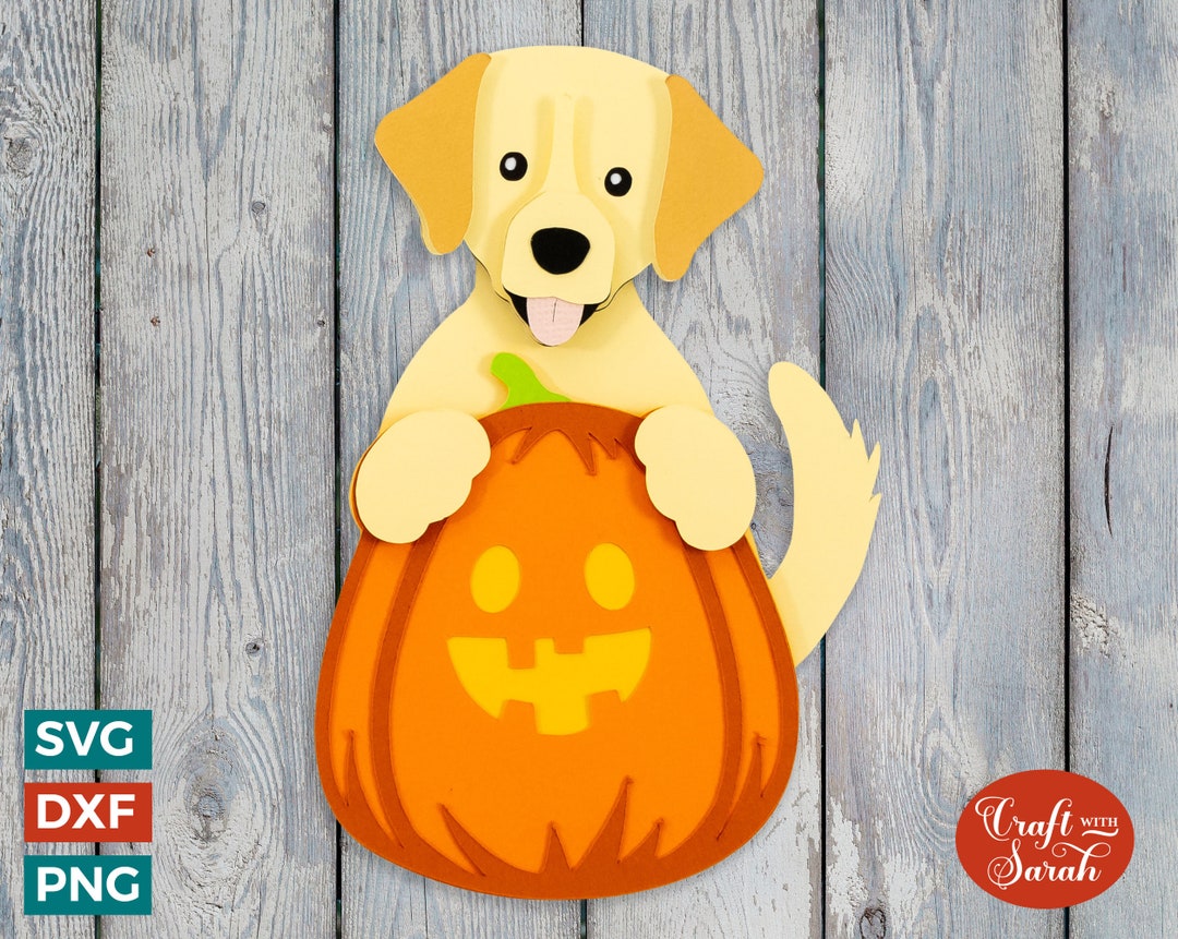 Labrador Retriever Pumpkin SVG | Labrador Pumpkin for Halloween - Etsy