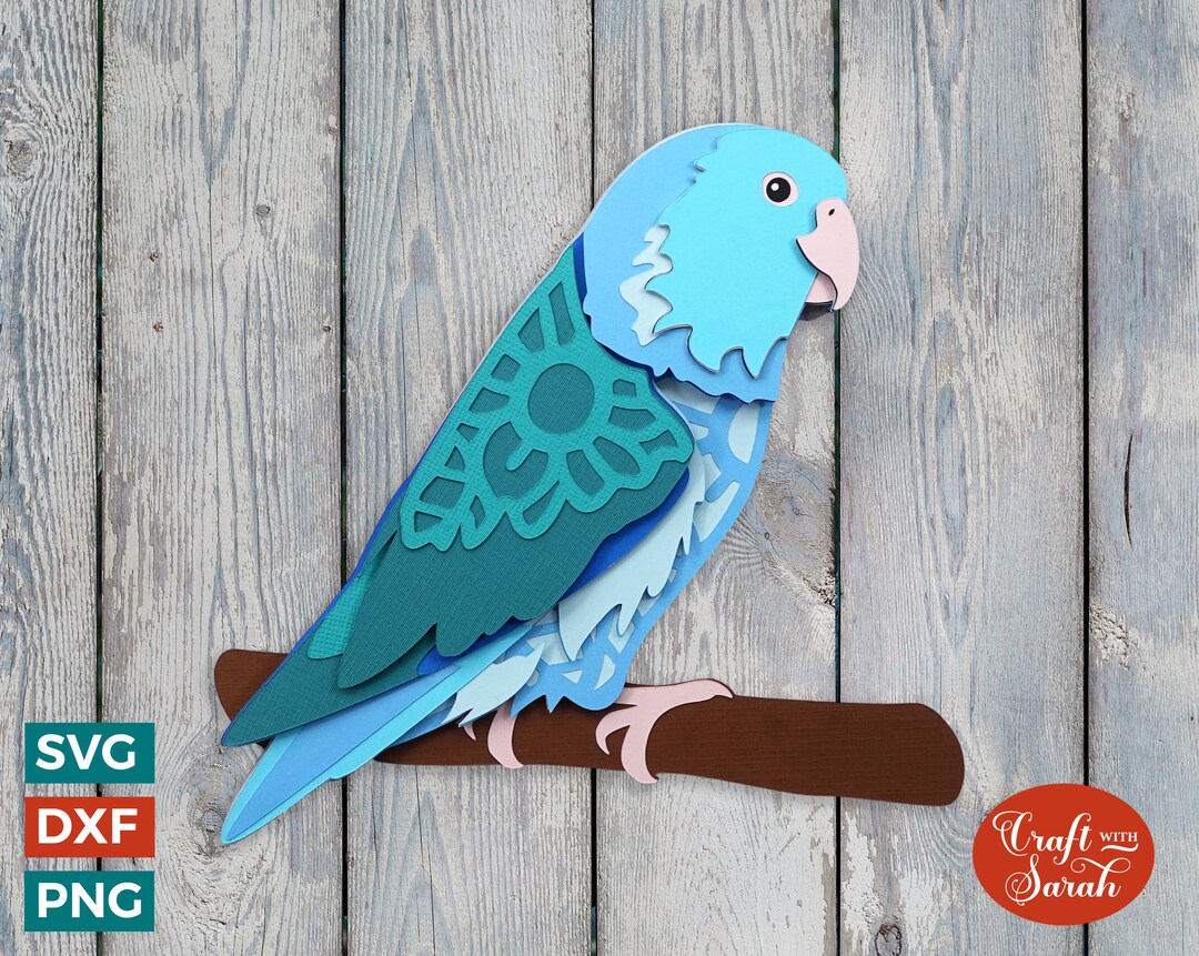 Pied Parrotlet SVG | Layered Pied Parrotlet Cutting File - Etsy