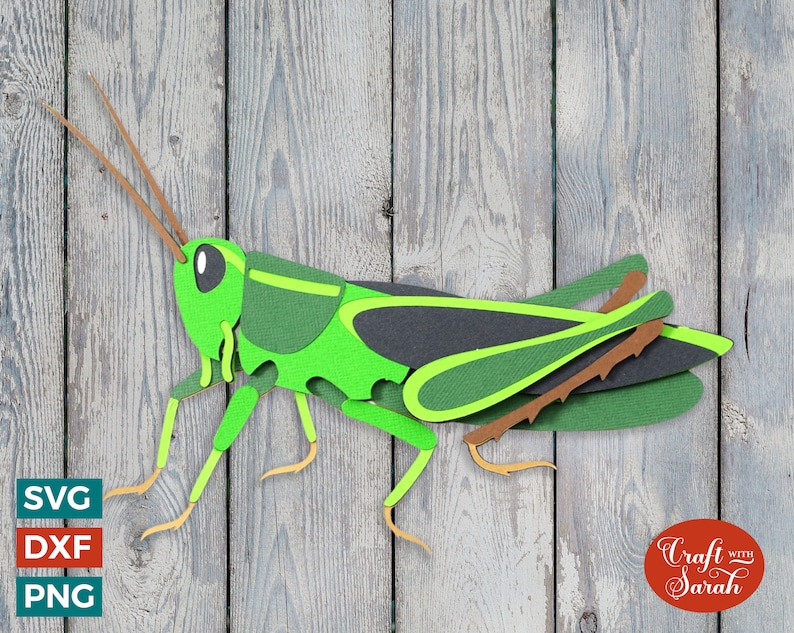 Grasshopper SVG | 3D Layered Grasshopper Insect Cutting File - Etsy