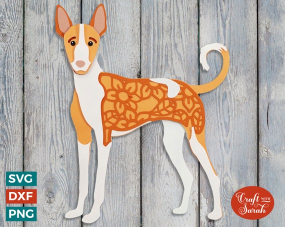 Ibezan Hound SVG Layered Spanish Podenco Cutting File - Etsy