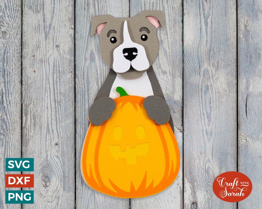 Pitbull Pumpkin SVG | Pittie or Staffie Dog Pumpkin for Halloween - Etsy