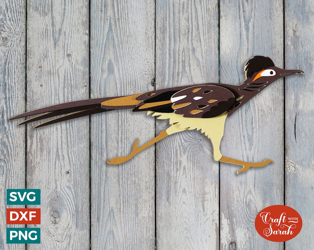 Roadrunner SVG | Layered Roadrunner Cutting File - Etsy