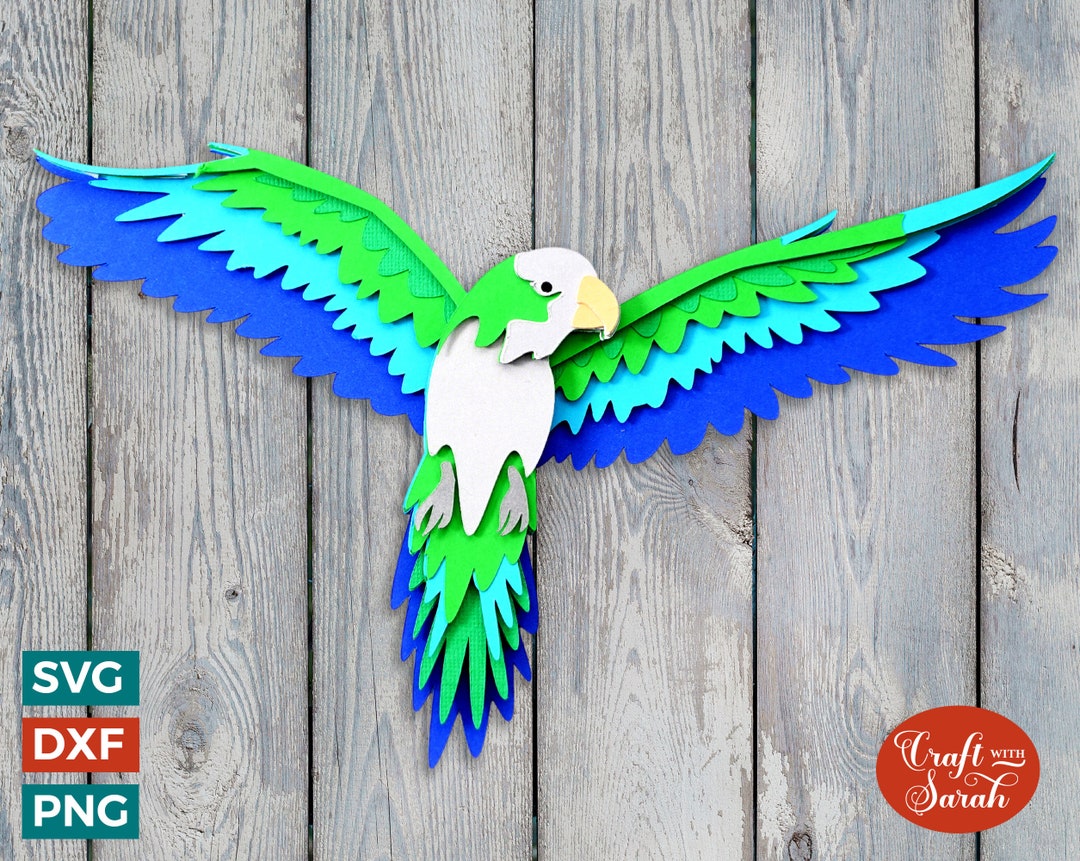 Quaker Parrot SVG | 3D Layered Monk Parakeet Cutting File - Etsy