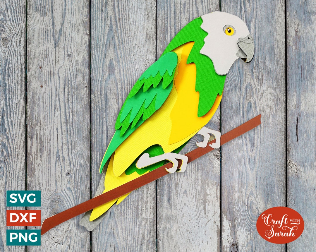 Senegal Parrot SVG | 3D Layered Exotic Bird Cutting File - Etsy
