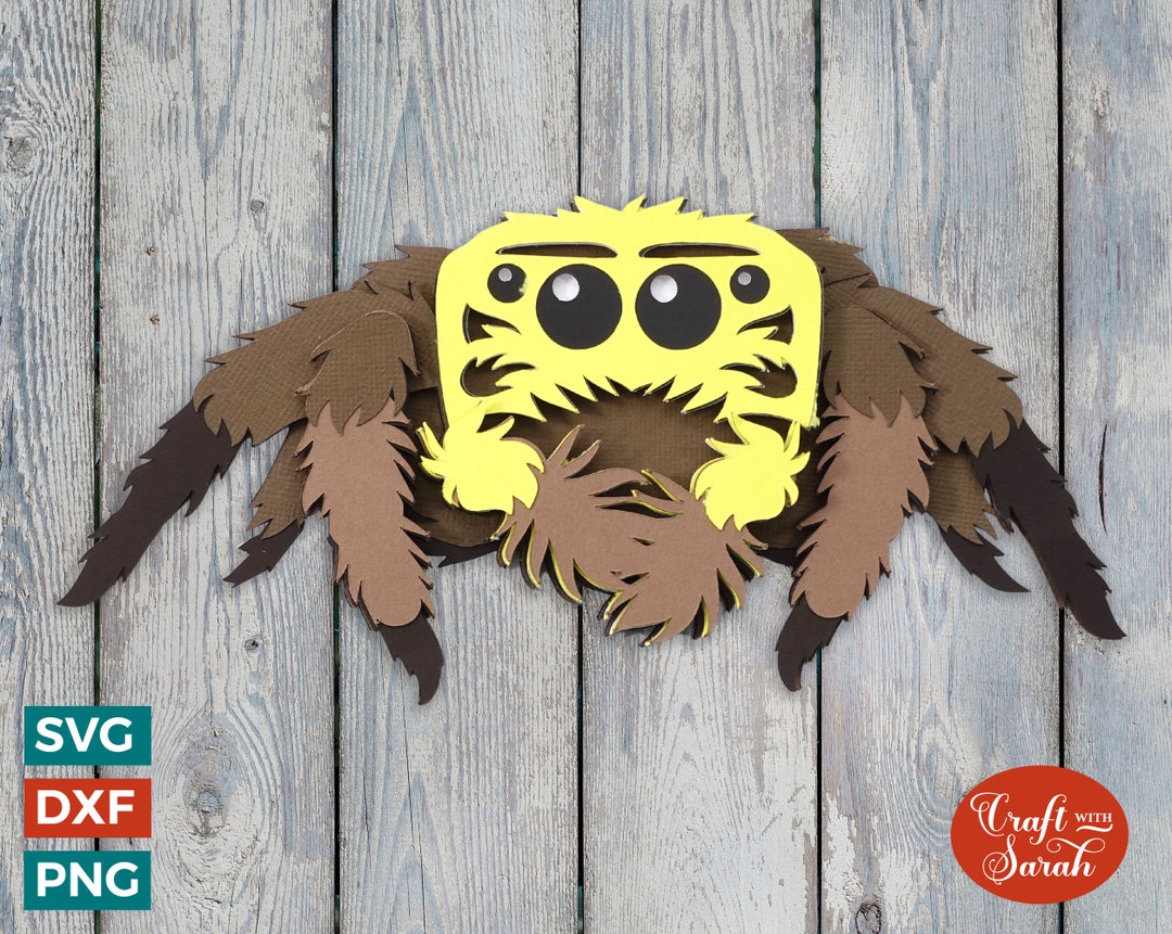 Jumping Spider SVG | 3D Layered Jumping Spider Cut File - Etsy