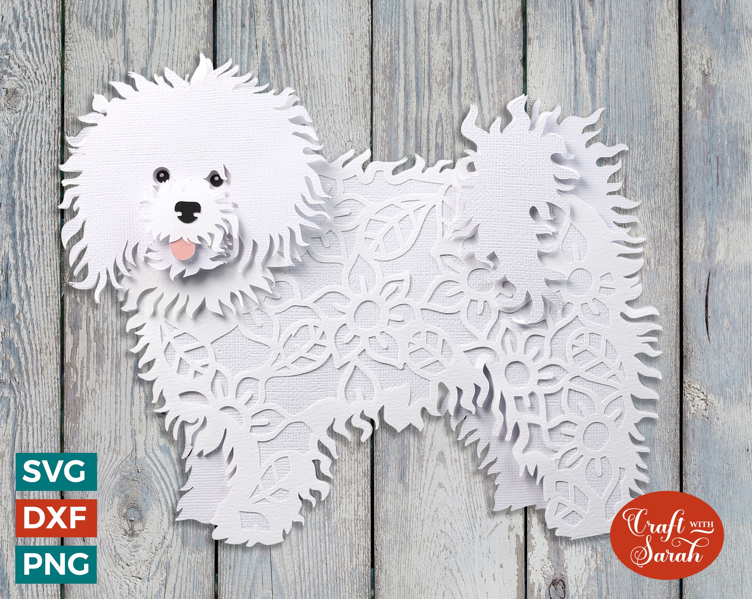 Bichon Frise Panda Cut