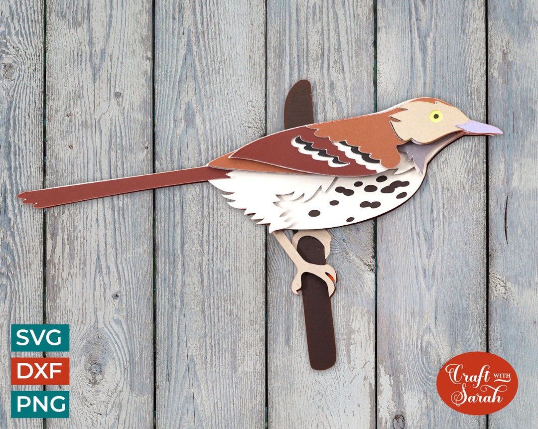 Brown Thrasher Bird SVG | 3D Layered Bird Cutting File - Etsy