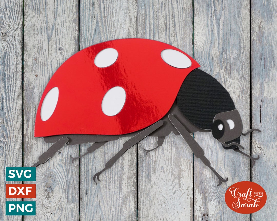 Ladybird SVG | 3D Layered Ladybug Insect Cutting File - Etsy