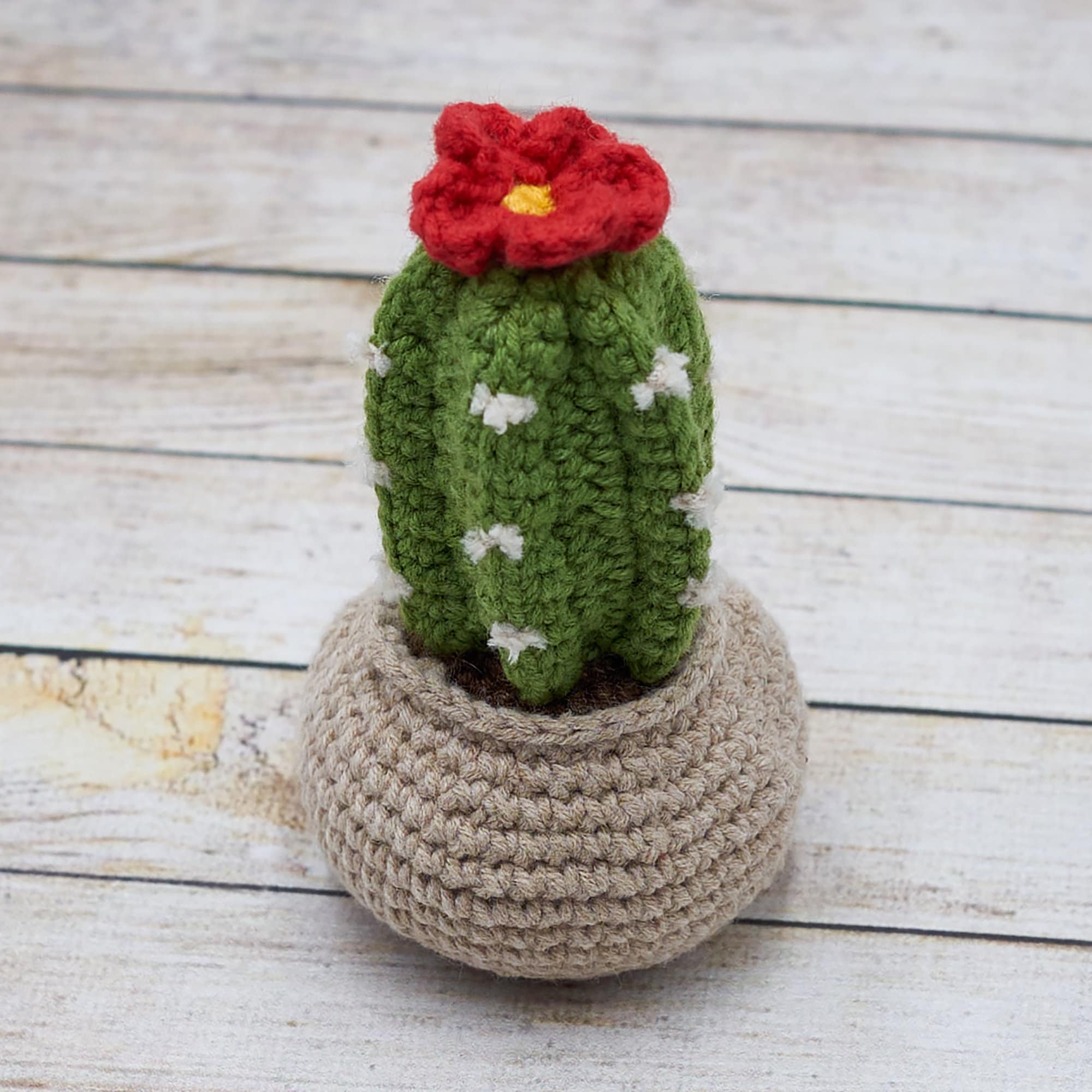 Crochet PATTERN Cactus in a Pot. Amigurumi Flower Pattern. - Etsy